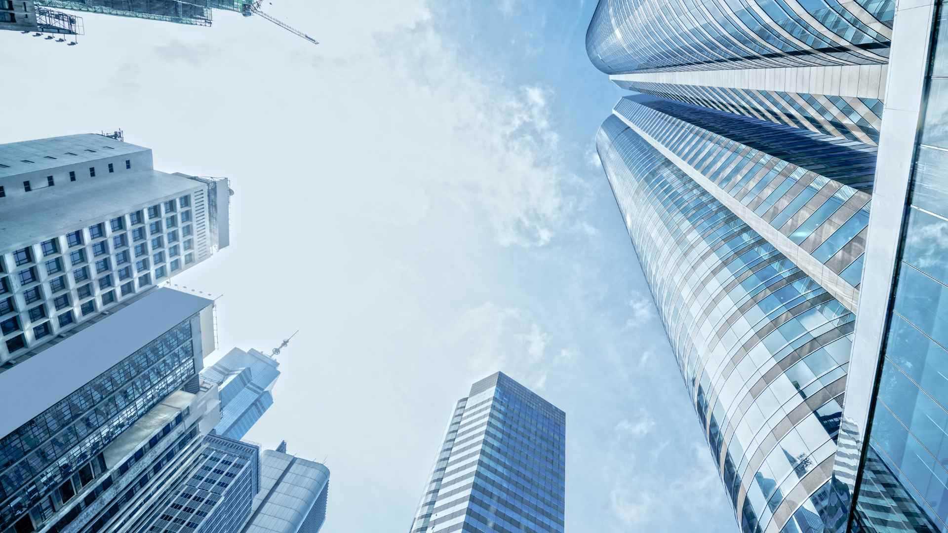 Dadaba Group — Our Businesses